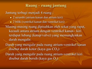 ANATOMI KARDIOVASKULER.pptx