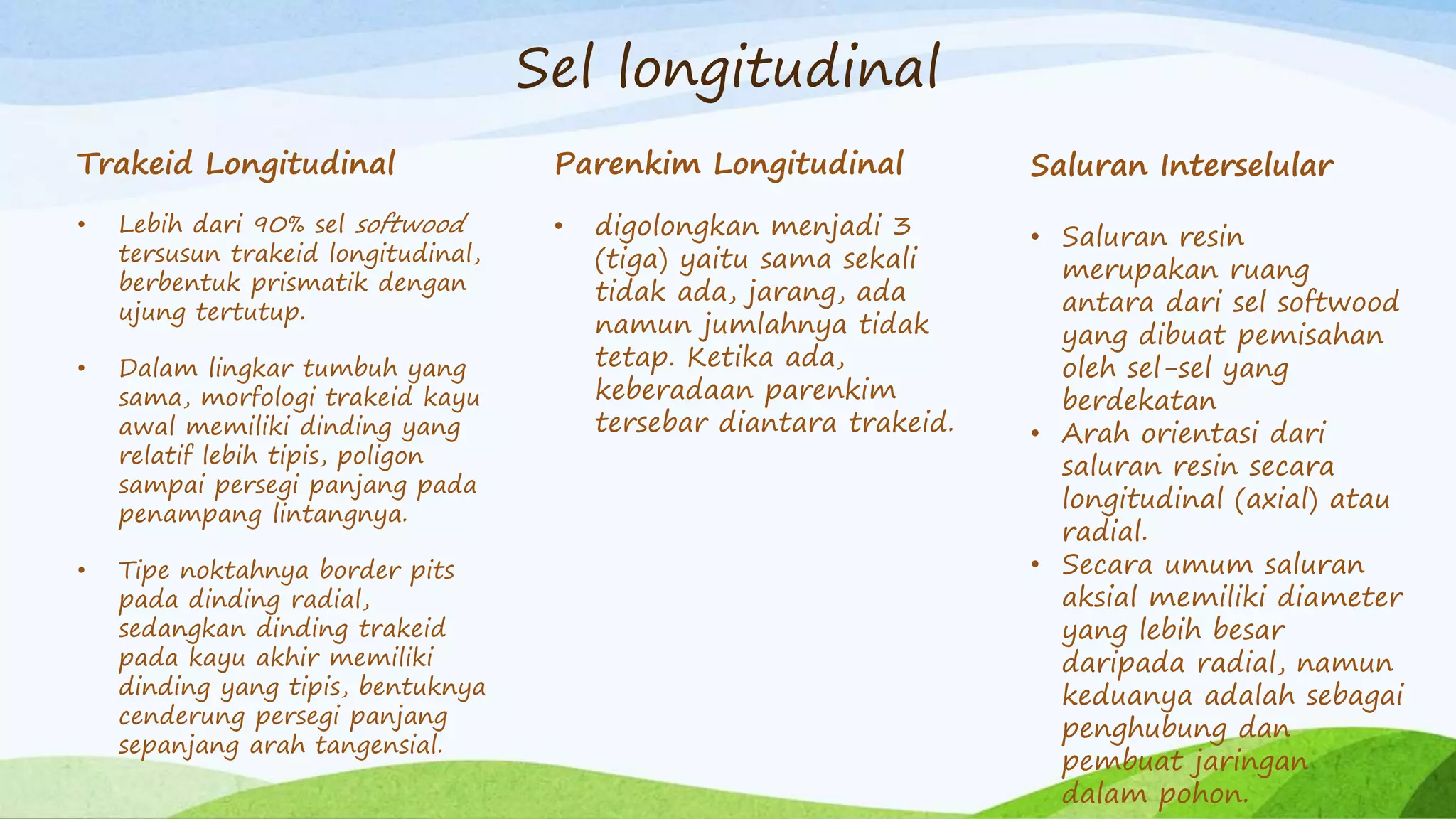 Anatomi Kayu daun jarum (KDJ) | PPTX