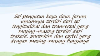 Anatomi Kayu daun jarum (KDJ) | PPTX