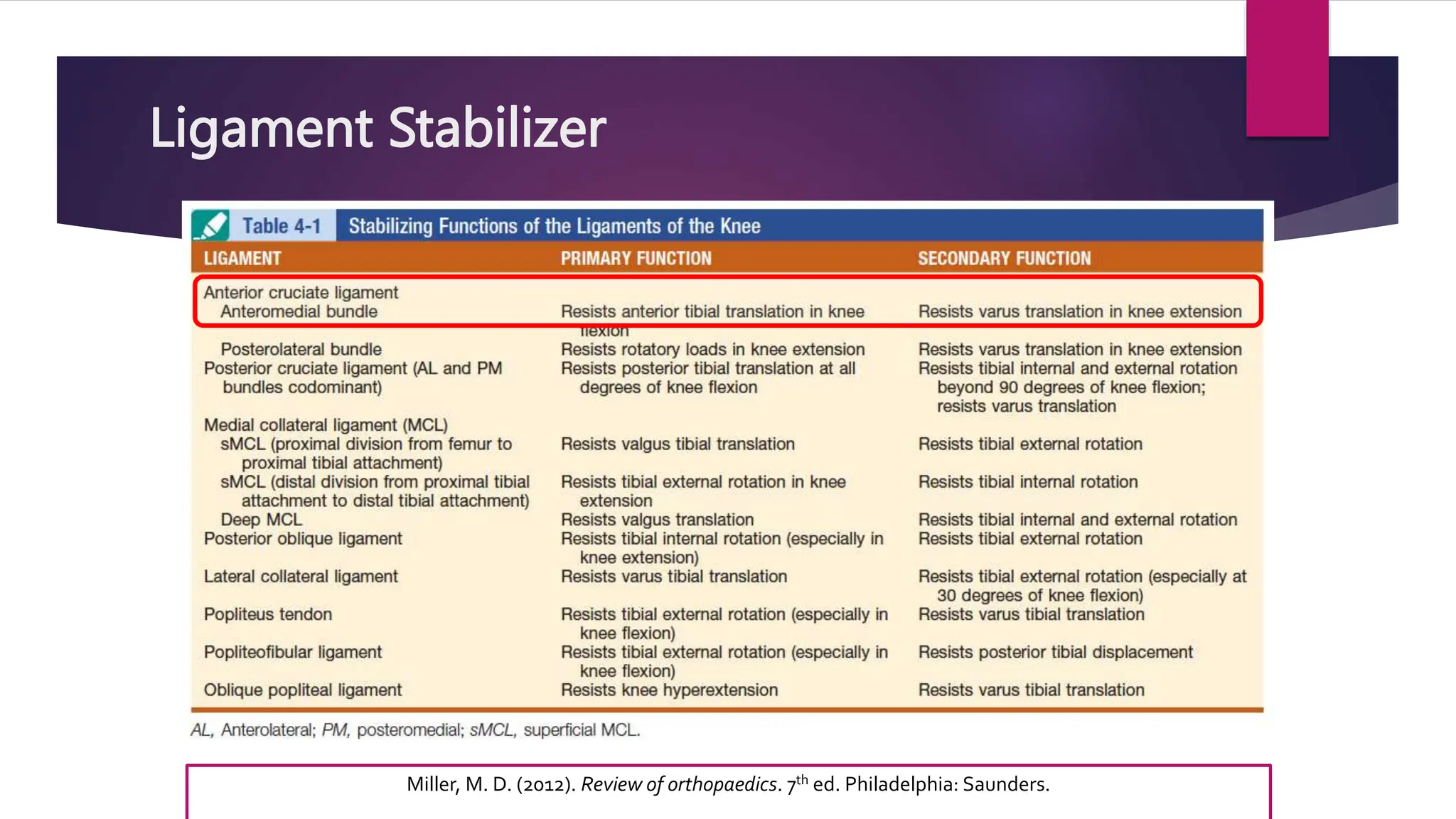 Anatomi Klinis dan Fungsional Lutut / Knee .pptx