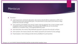 Anatomi Klinis dan Fungsional Lutut / Knee .pptx
