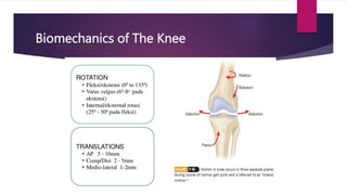 Anatomi Klinis dan Fungsional Lutut / Knee .pptx