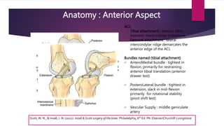 Anatomi Klinis dan Fungsional Lutut / Knee .pptx