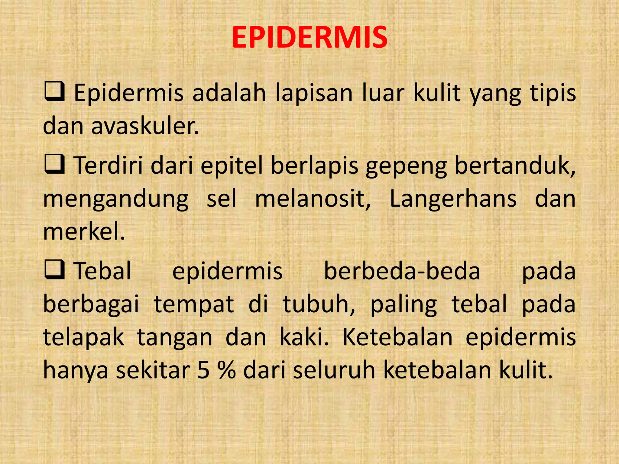 Anatomi kulit & fisiologi penyembuhan luka | PPTX