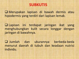 Anatomi kulit & fisiologi penyembuhan luka | PPTX