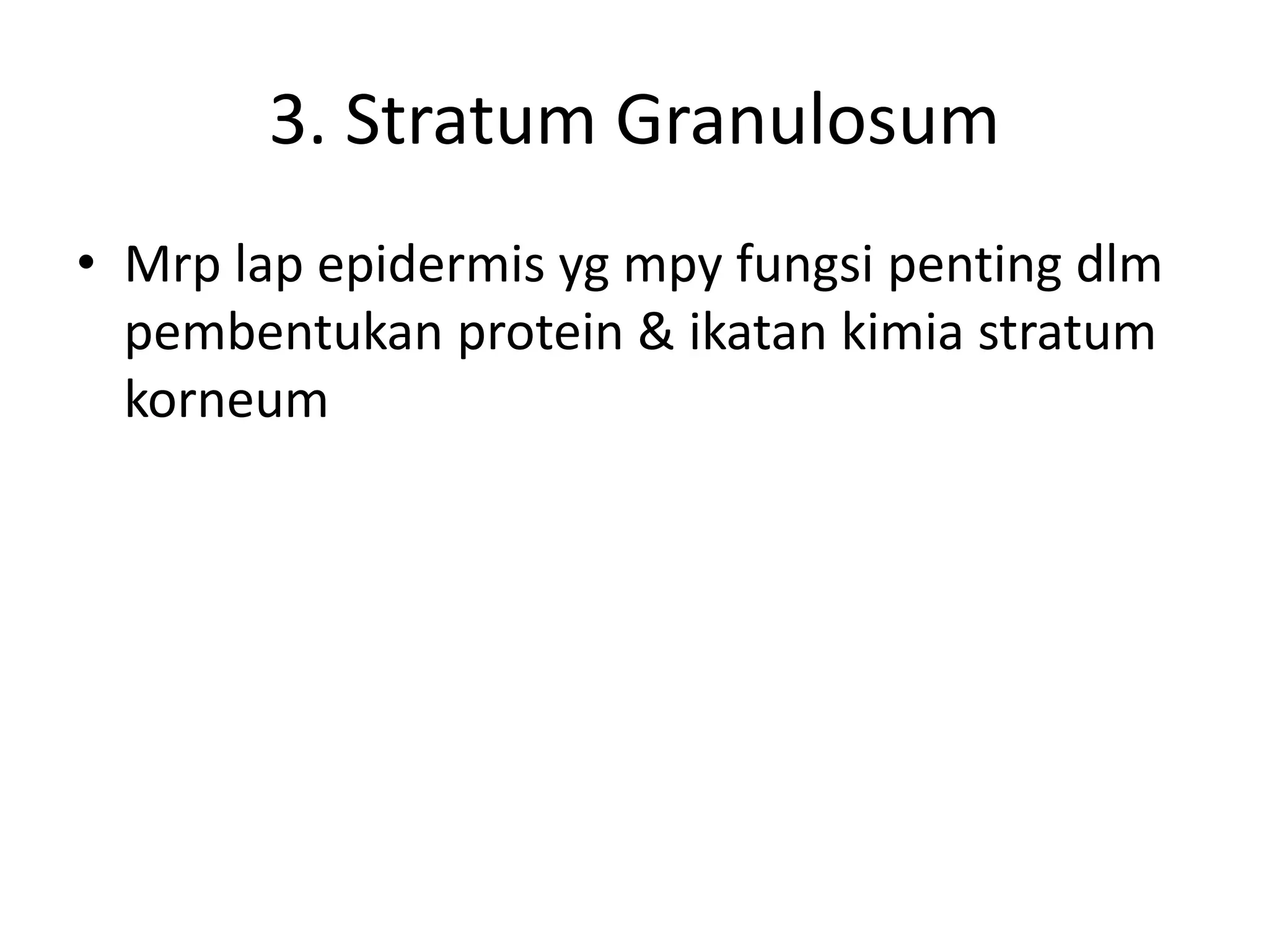 Anatomi dan Fisiologi Organ Kulit dan Lidah | PPT