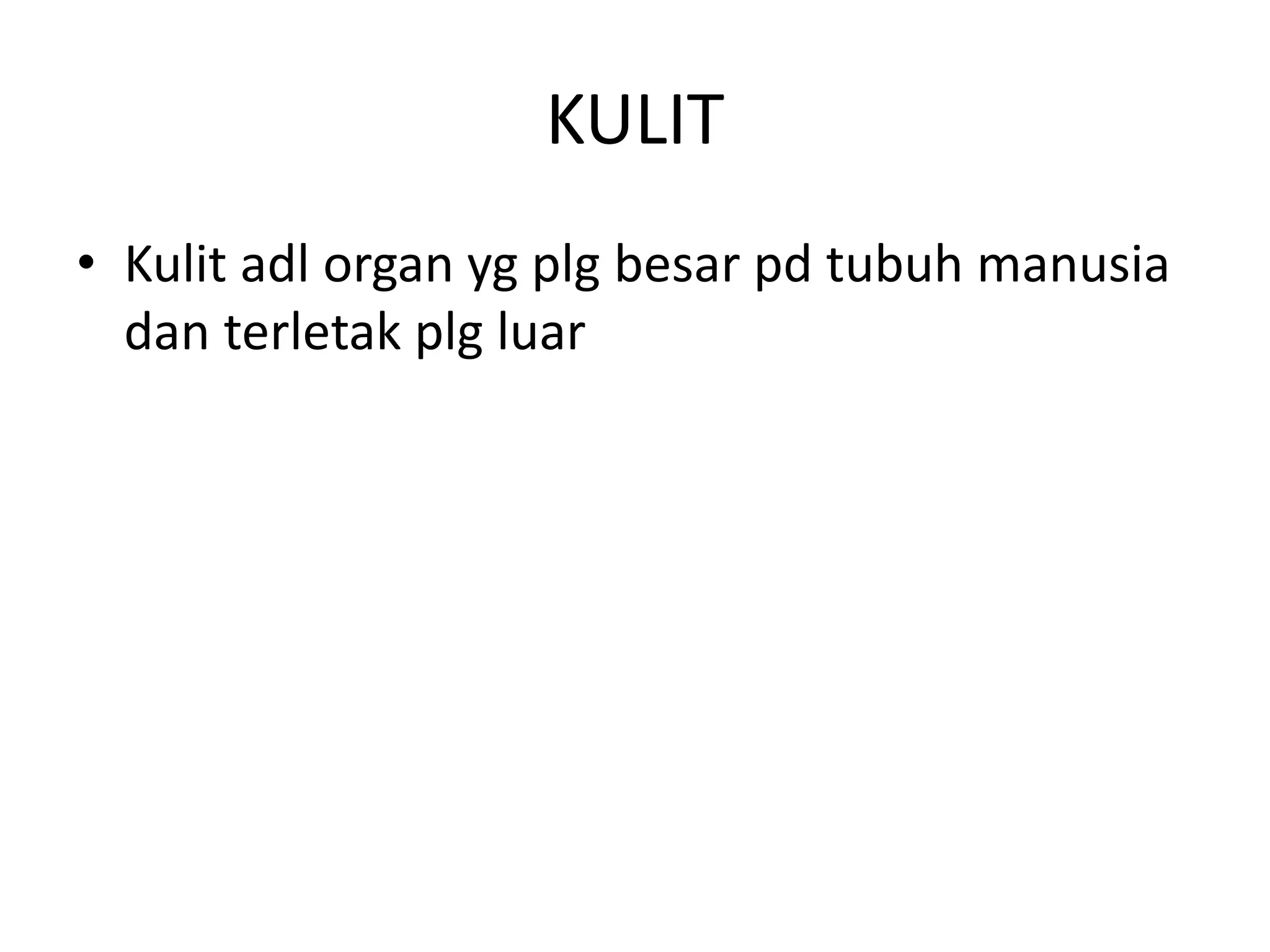 Anatomi dan Fisiologi Organ Kulit dan Lidah | PPT