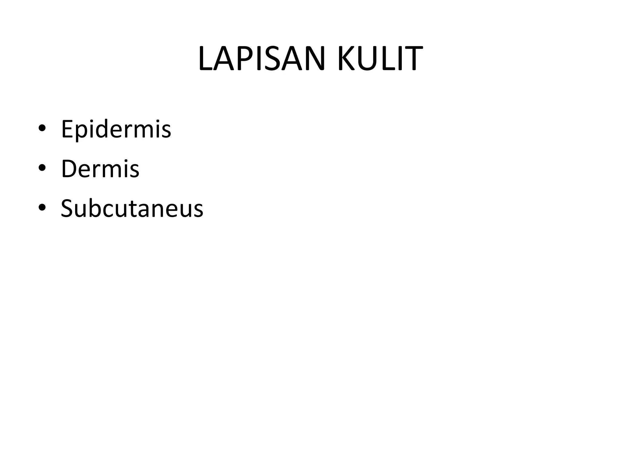 Anatomi dan Fisiologi Organ Kulit dan Lidah | PPT