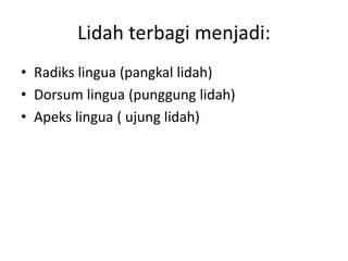 Anatomi dan Fisiologi Organ Kulit dan Lidah | PPT