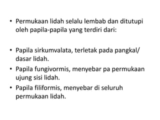 Anatomi dan Fisiologi Organ Kulit dan Lidah | PPT