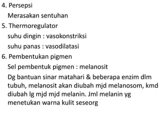 Anatomi dan Fisiologi Organ Kulit dan Lidah | PPT