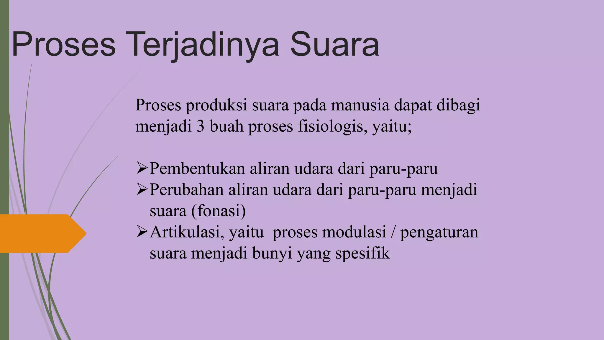 anatomi laring faring.pptx