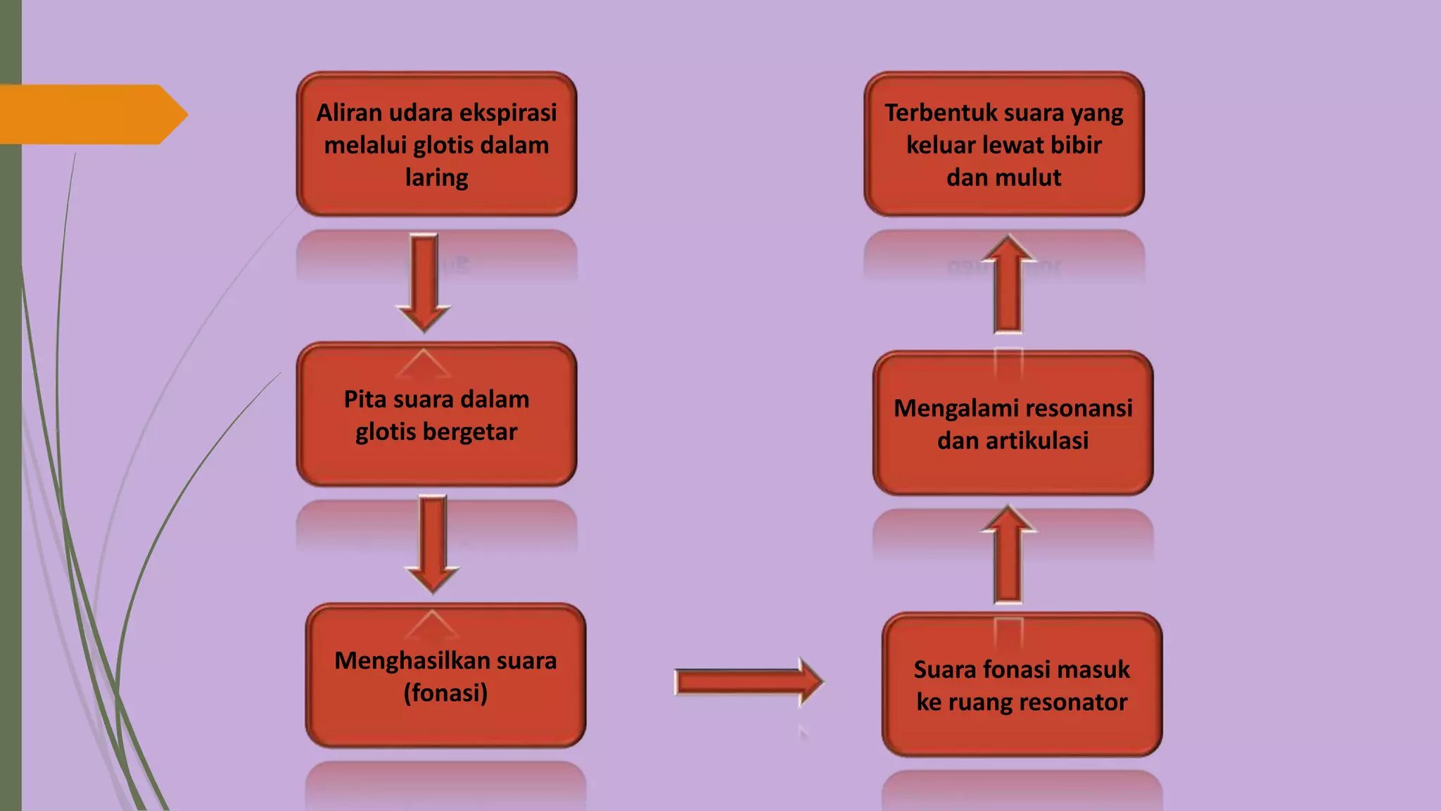 anatomi laring faring.pptx