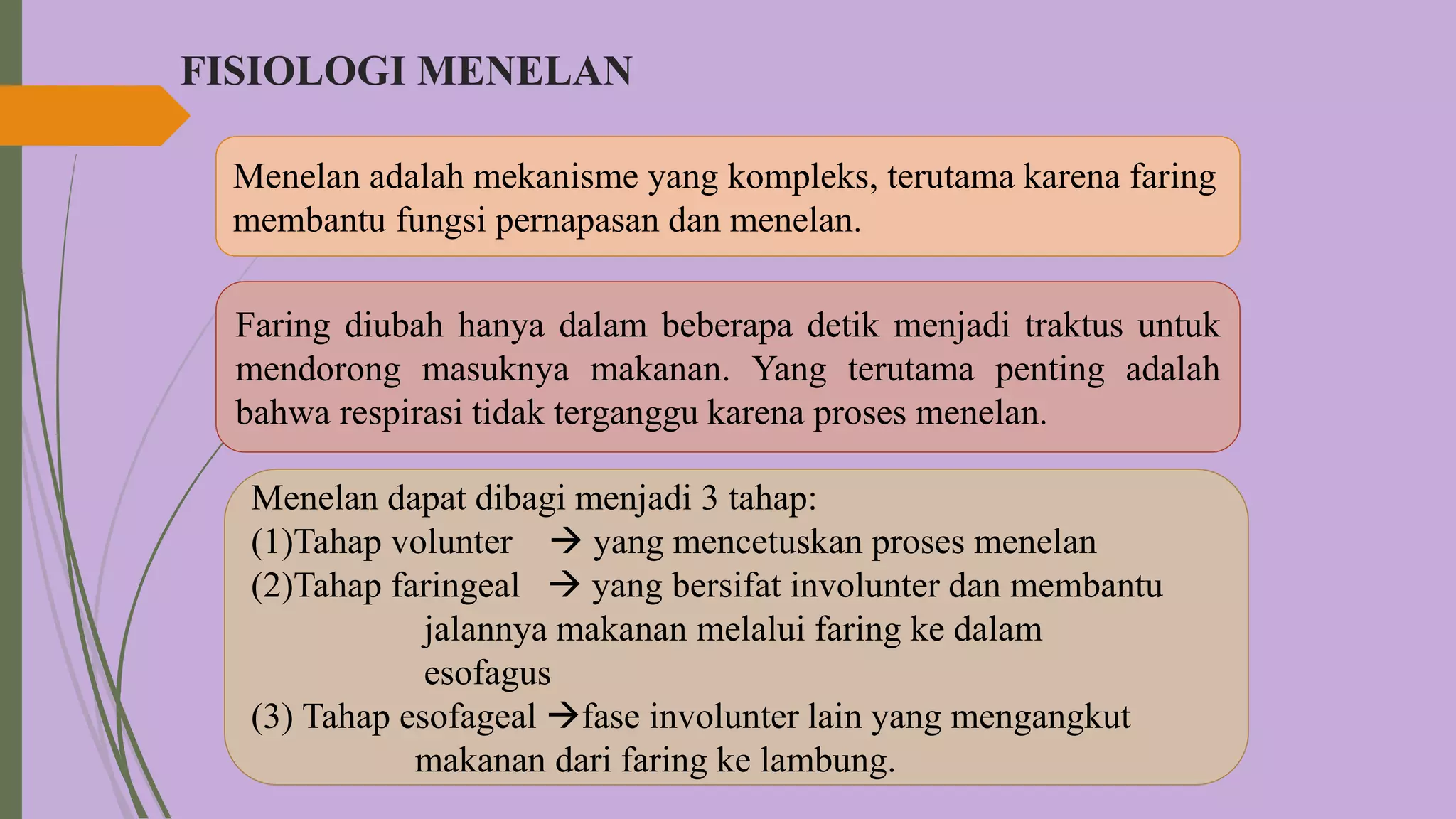 anatomi laring faring.pptx