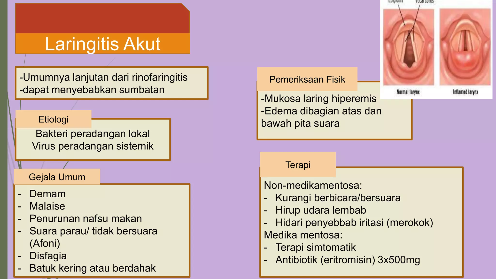 anatomi laring faring.pptx