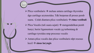 anatomi laring faring.pptx
