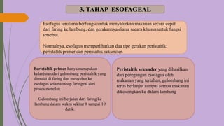 anatomi laring faring.pptx