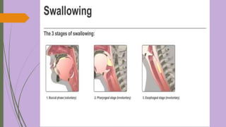 anatomi laring faring.pptx