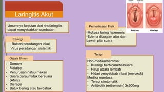 anatomi laring faring.pptx