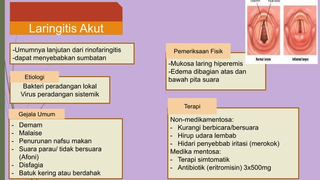 anatomi laring faring.pptx