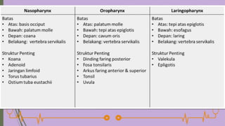 anatomi laring faring.pptx