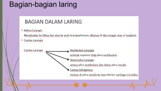 anatomi laring faring.pptx