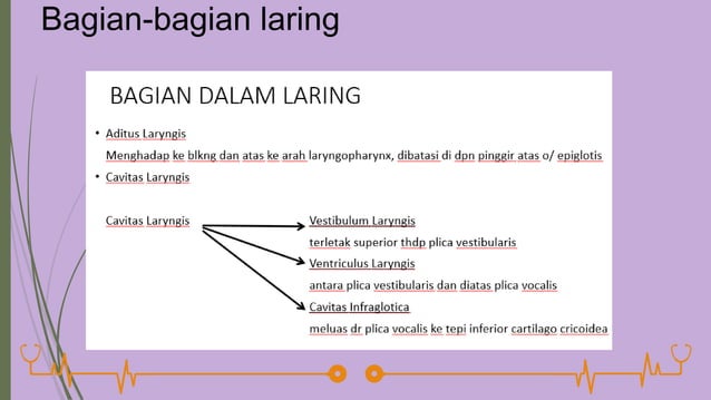 anatomi laring faring.pptx