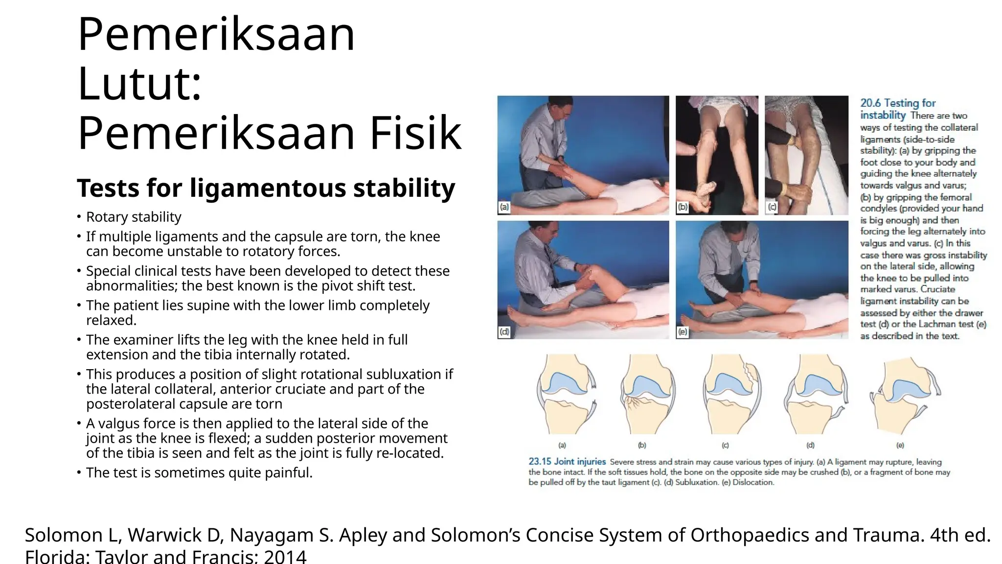 Anatomi_Lutut_dan_Pemeriksaan_Lutut.pptx