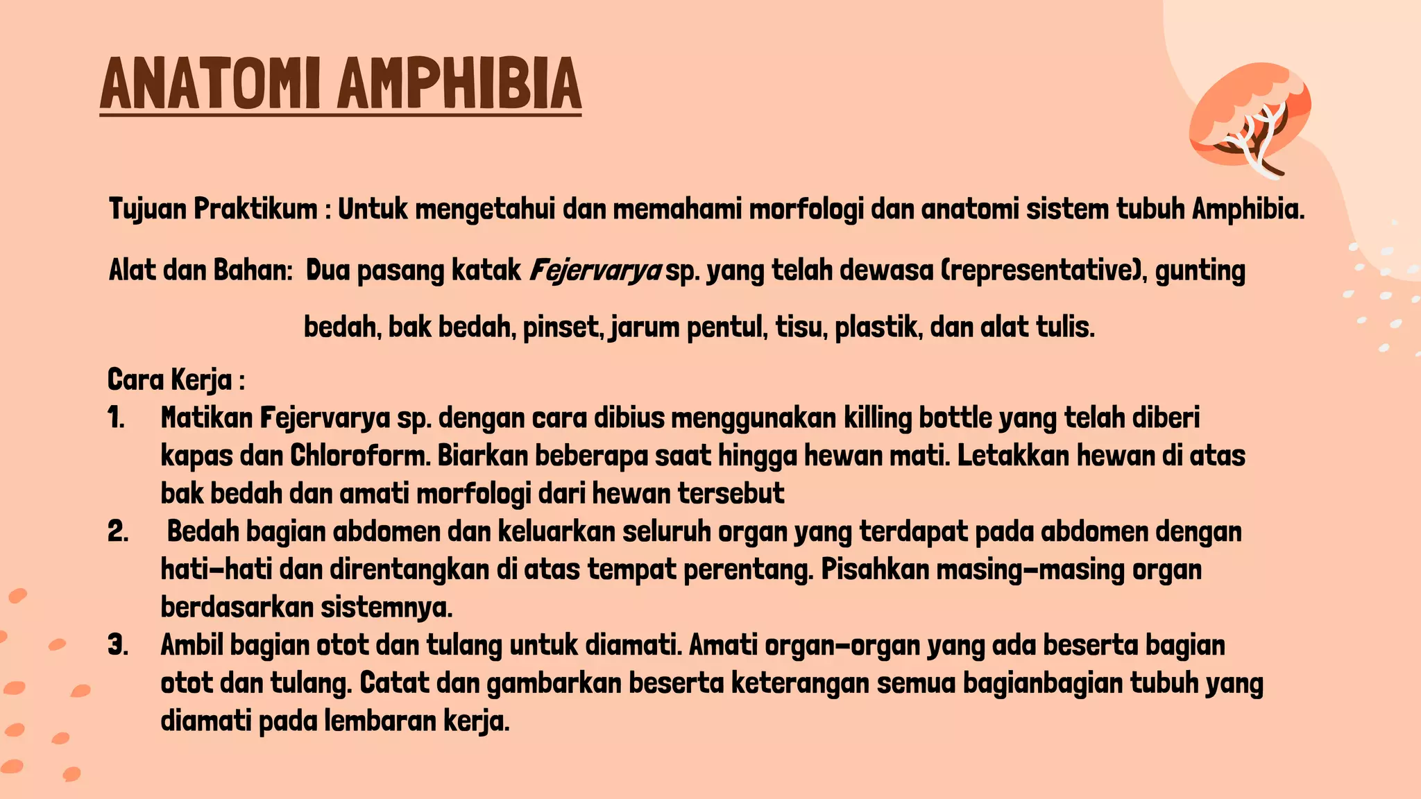 ANATOMI MAMALIA DAN AMPHIBI ASISTENSI 2022.pptx