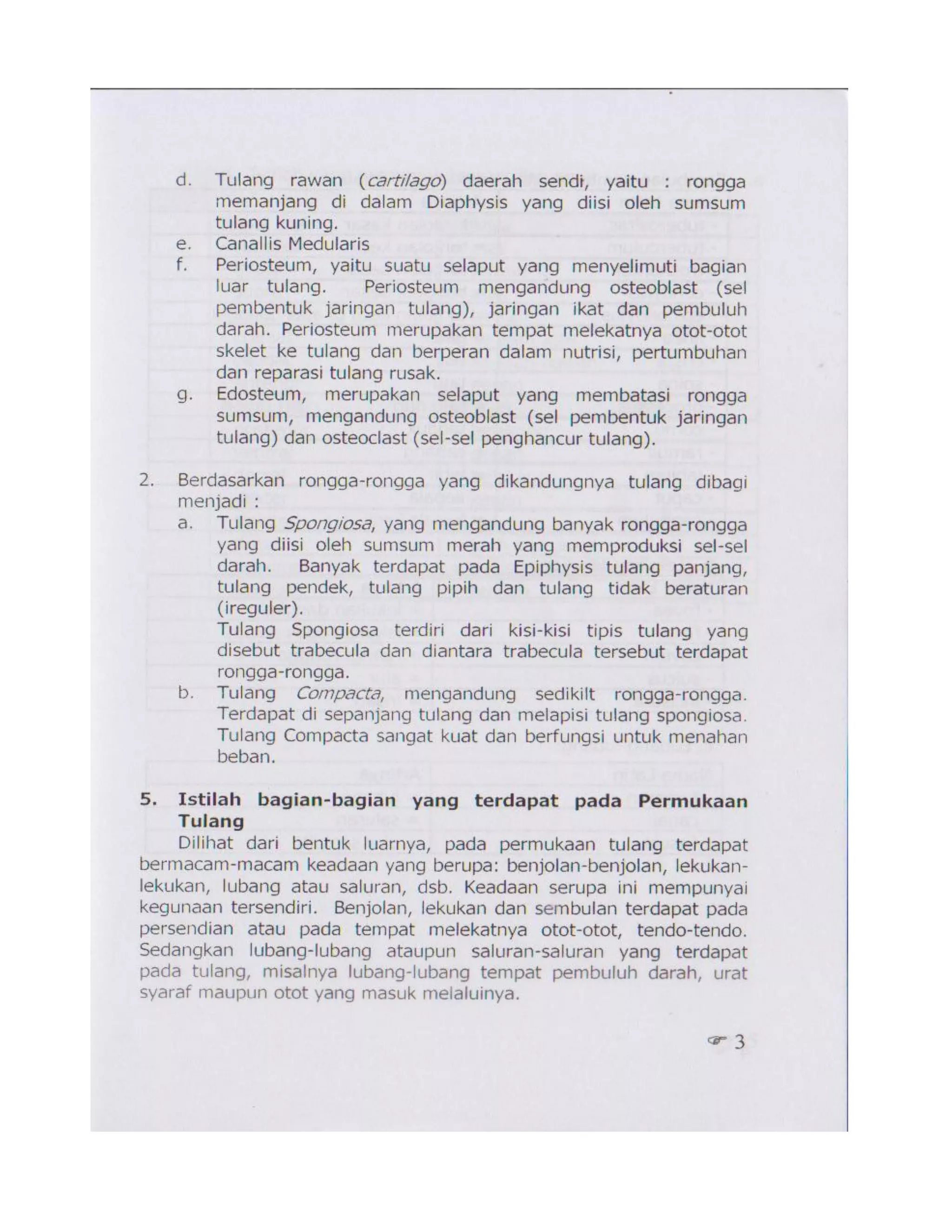 Anatomi Manusia Pdf