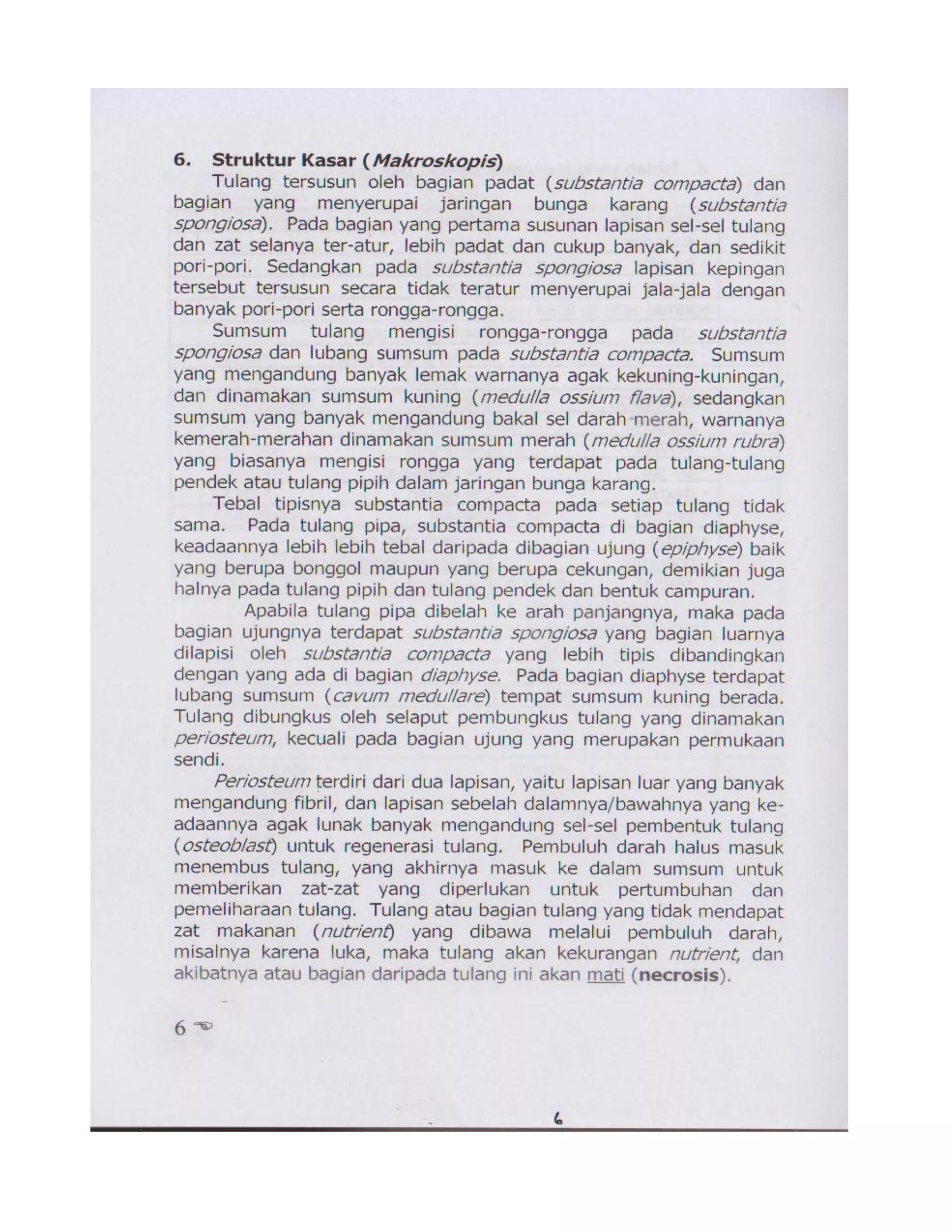 Anatomi Manusia Pdf