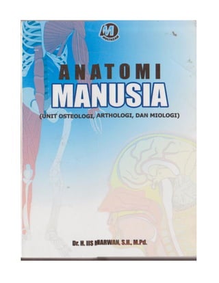 Anatomi Manusia Pdf