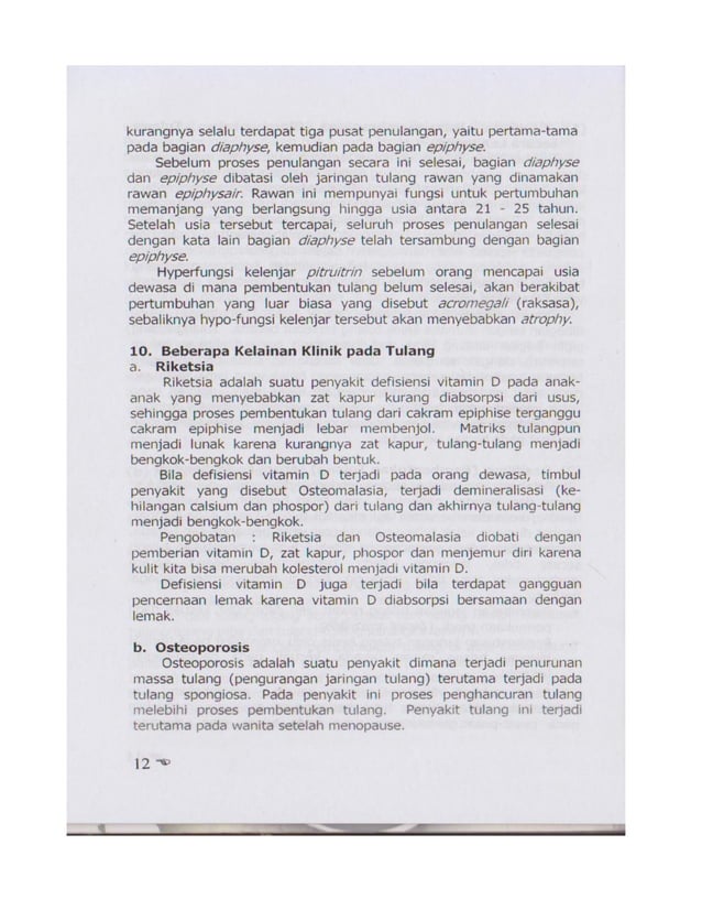 Anatomi Manusia Pdf
