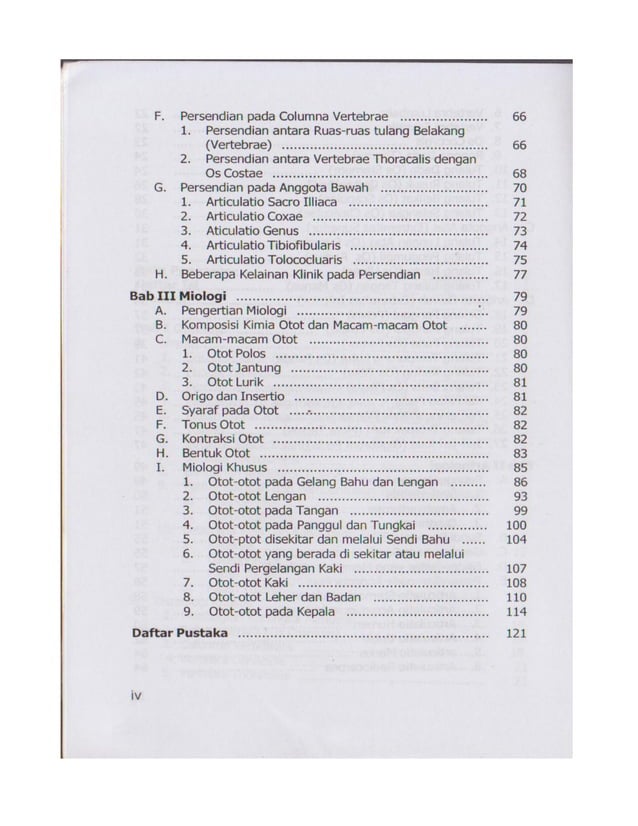 Anatomi Manusia Pdf