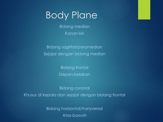 TUGAS PJKR UPGRIS MAKUL ANATOMI MANUSIA.pptx