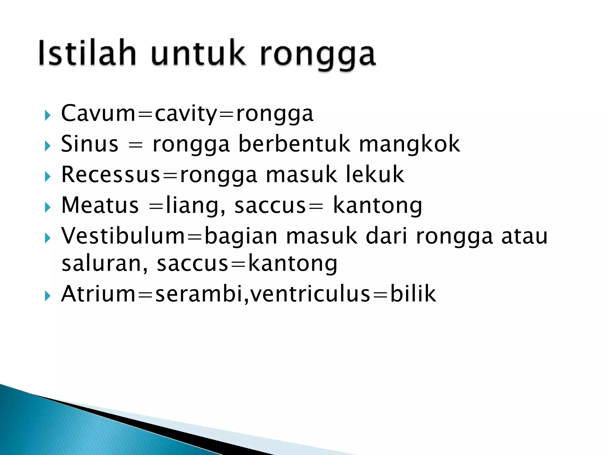 Anatomi_Manusia_ppt.ppt