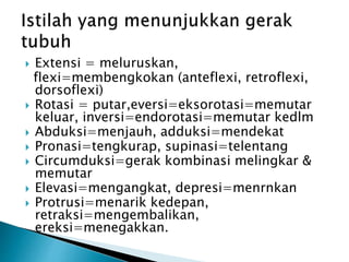 Anatomi_Manusia_ppt.ppt