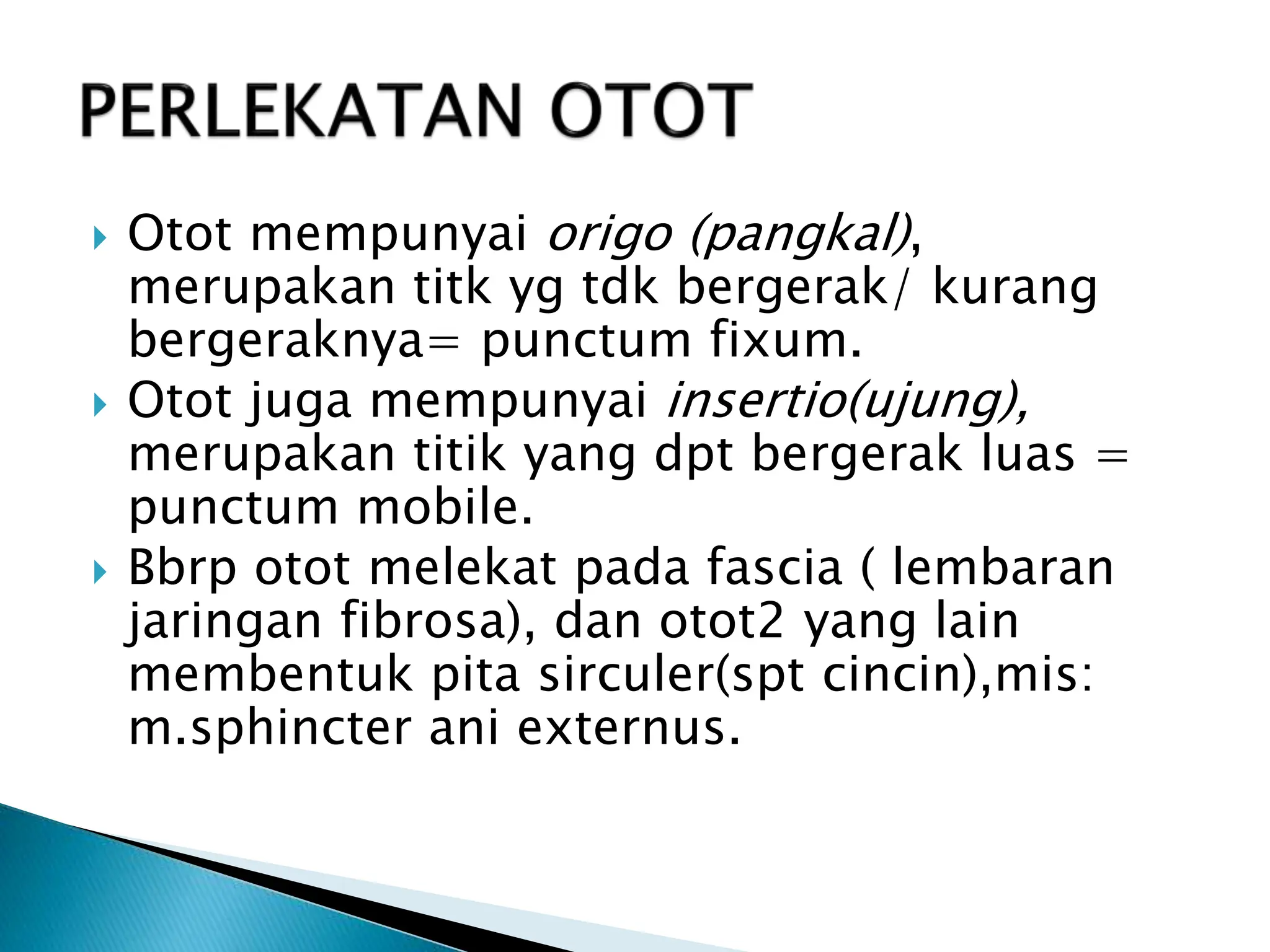 Anatomi_Manusia_ppt.ppt