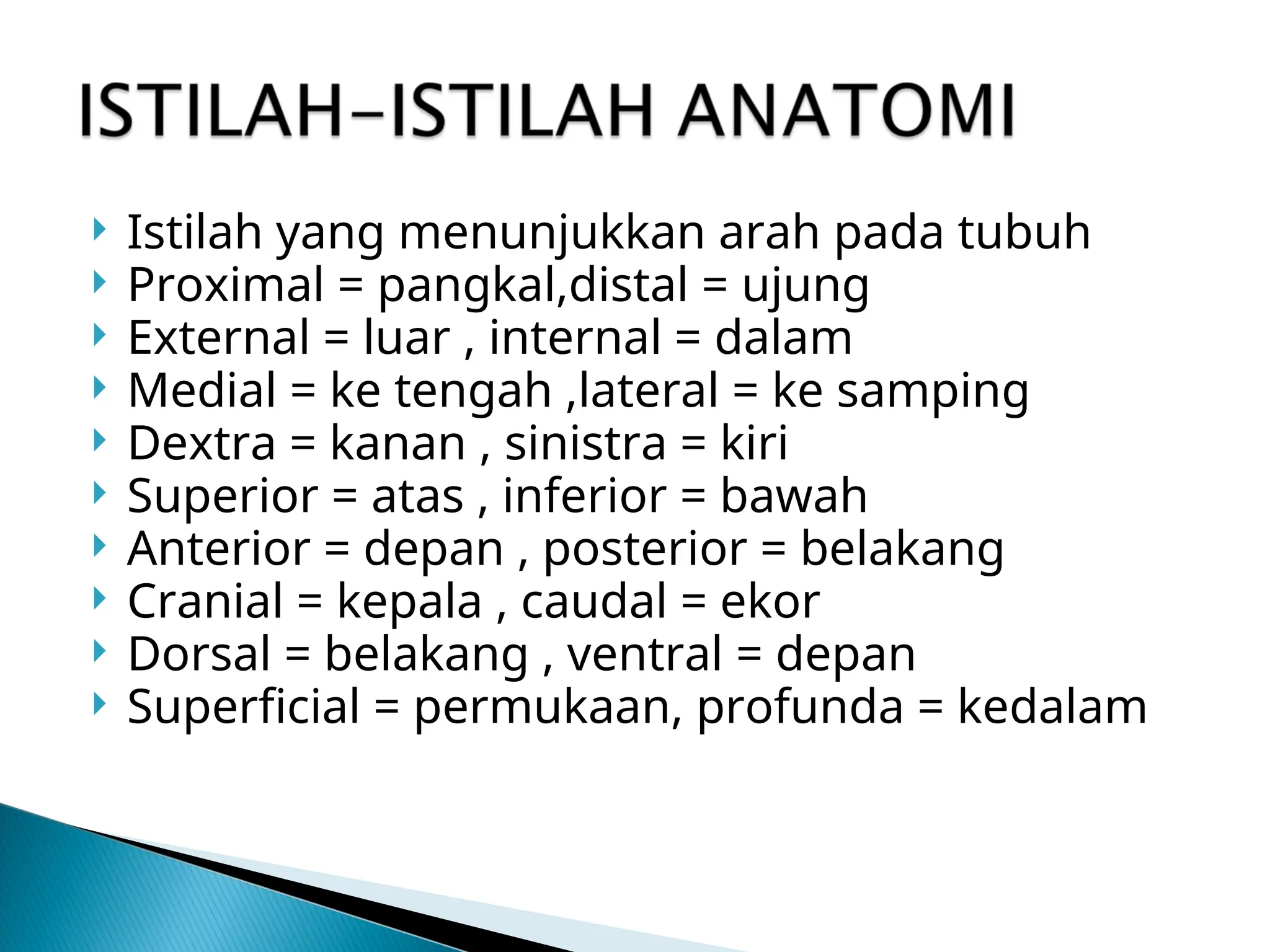 ANATOMI PADA MANUSIA Manusia secara umum | PPT