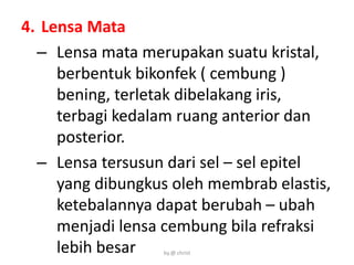 Anatomi mata | PPTX