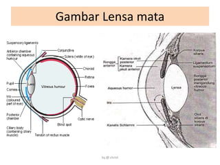 Anatomi mata | PPTX