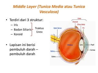 Anatomi Mata.pptx