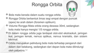Anatomi mata dan fisiologinya update.pptx