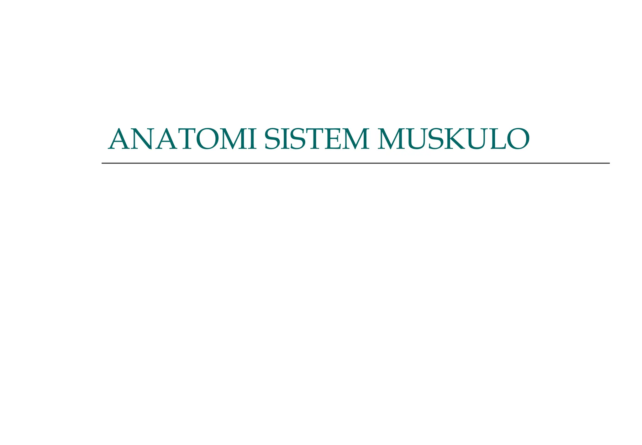 ANATOMI MUSKULO mata kuliah anatomi .ppt