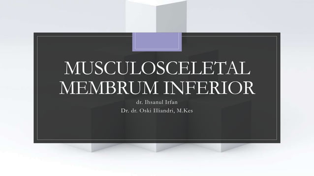 Anatomi muskulo membrum inferior | PPTX