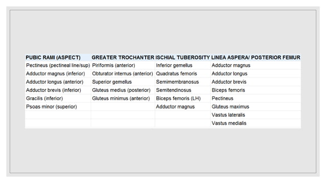 Anatomi muskulo membrum inferior | PPTX