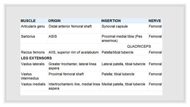 Anatomi muskulo membrum inferior | PPTX