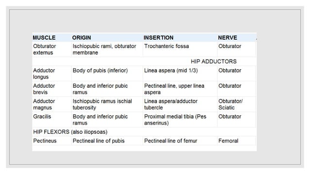 Anatomi muskulo membrum inferior | PPTX