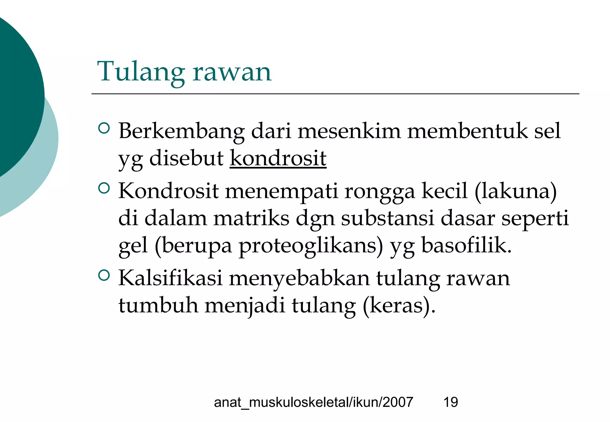 Anatomimuskuloskeletal | PPT