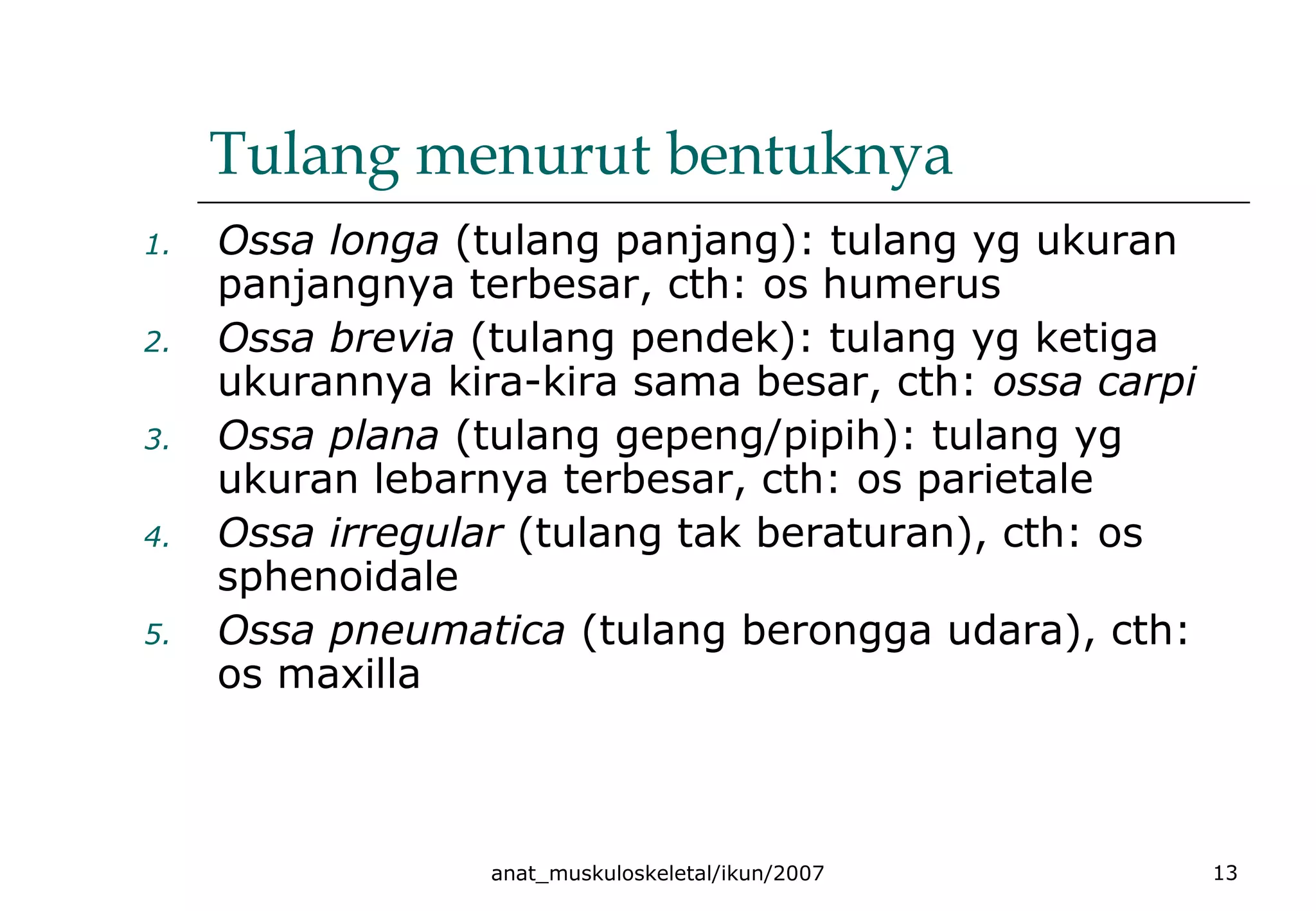 Anatomi Muskuloskeletal | PPT